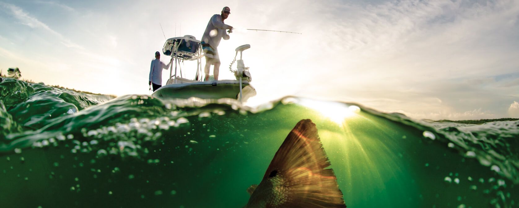 Dual Spectrum CHIRP Sonar - Humminbird