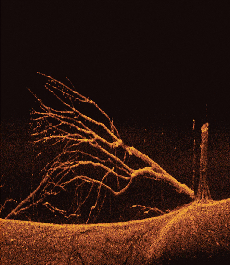 Humminbird® 101 - Humminbird