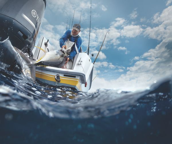 Humminbird Networking Diagrams | Humminbird