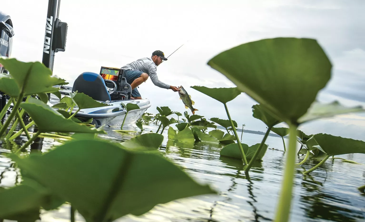 Humminbird Logo Download - Humminbird