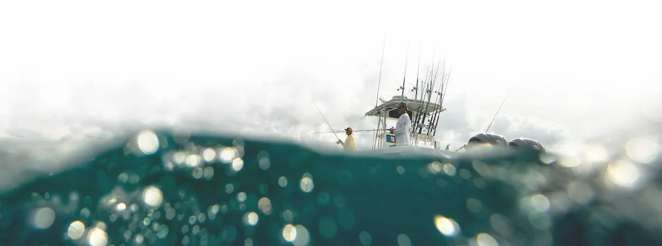 CHIRP Radar - Humminbird